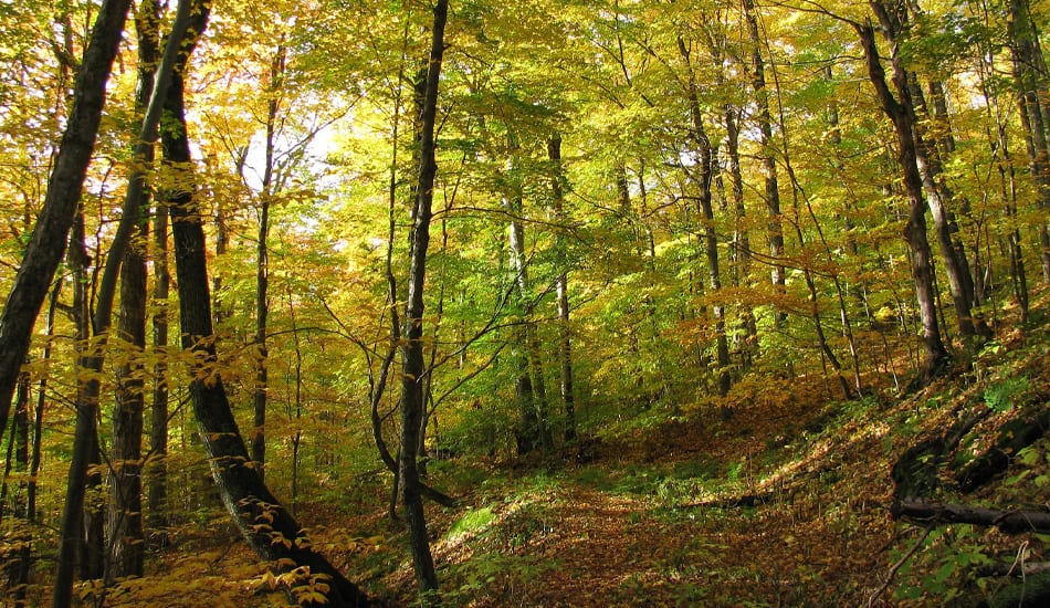 Trail Descriptions - The Equinox Preservation Trust